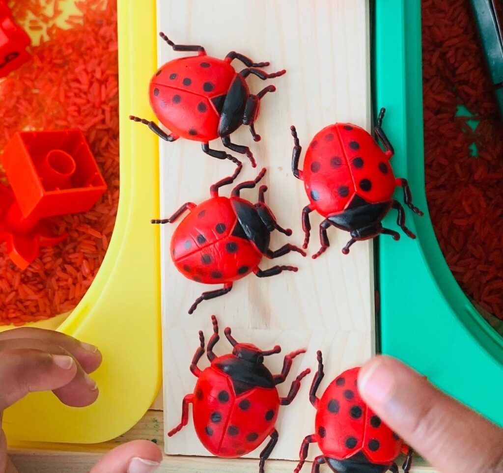 Red is Best Book Review and Sensory Activity - Learning Step By Step