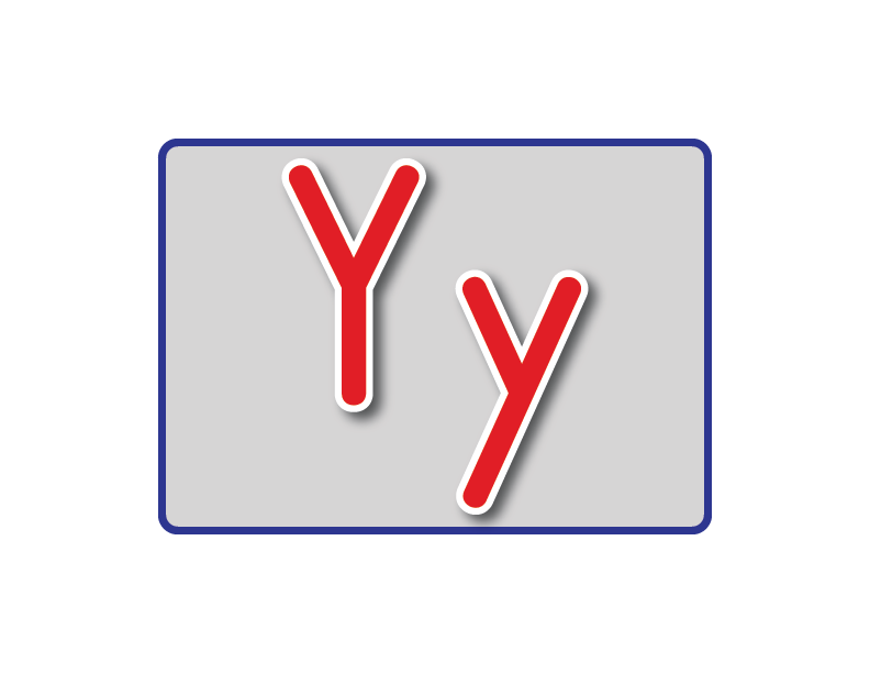 Sea Animals A to Z Flashcards - Learning Step By Step