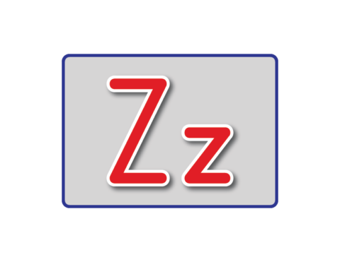 Sea Animals A to Z Flashcards - Learning Step By Step